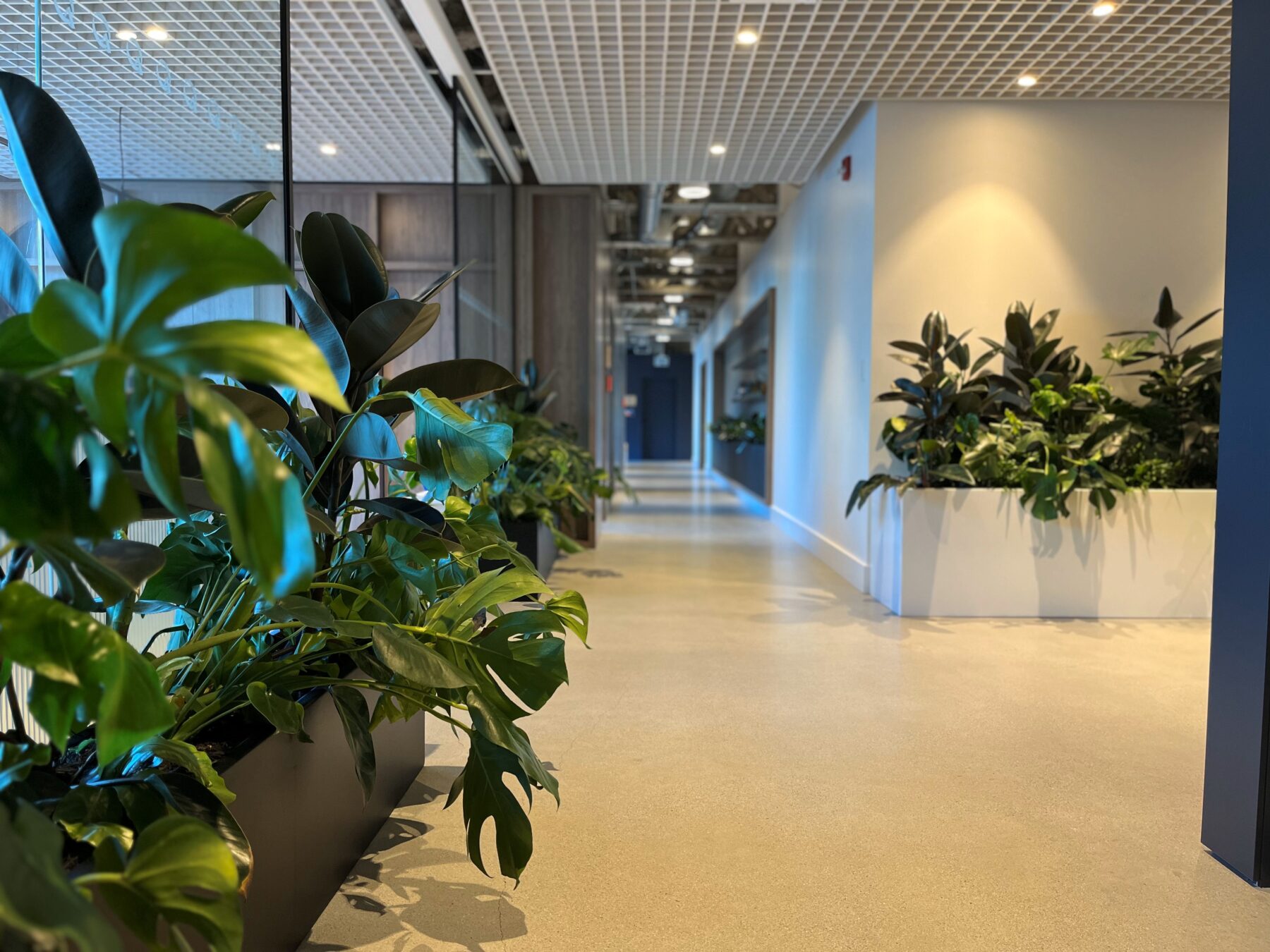 An Insider Look into Delta-Q's Sustainable Global Headquarters